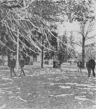 Royal Oak Dondero Class of 1973