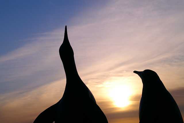 Double Maxim - Sunderland's Finest