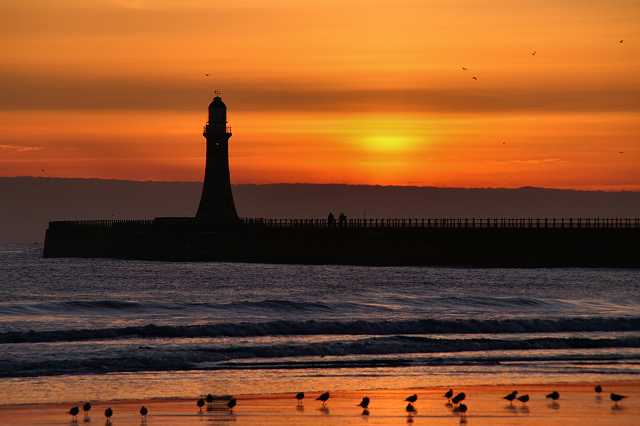 Double Maxim - Sunderland's Finest