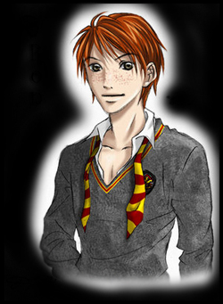 A Muggle's Guide to Hogwarts Students