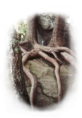 Home Page [www.geocities.ws]