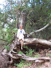 Dr. Alice Alibrio, Naturopathic Physician - Arizona