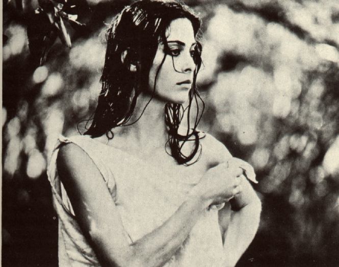 paulapix