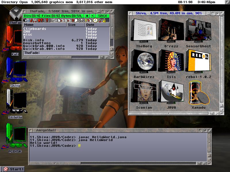 A screen shot of my Amiga Workbench