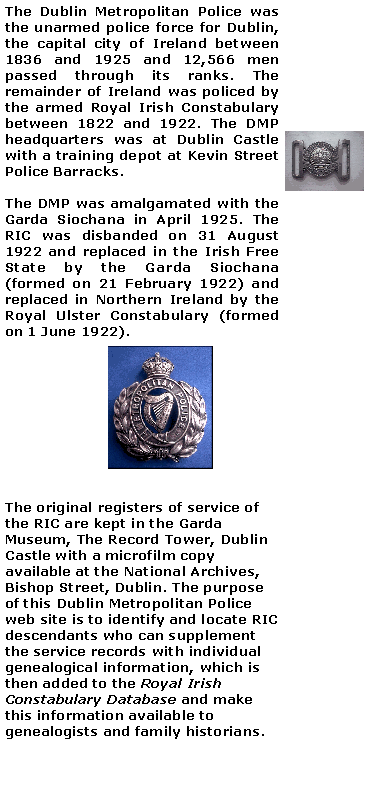 Dublin Metropolitan Police