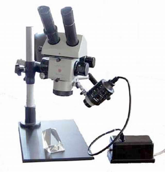 MBS-10 Microscope Binocular Stereoscopic