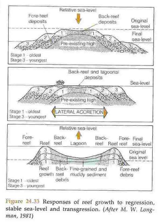 Reef_and_atoll_formation