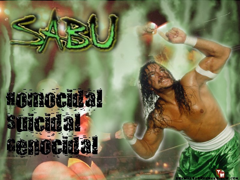 The Mad House Of Extreme - A Tribute To ECW