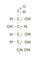 Los monosacáridos son los glúcidos más sencillos