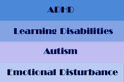 Mild to Moderate Disabilities