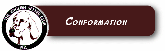 ESC NZ - CONFORMATION SHOWS