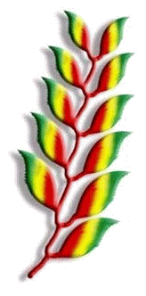 Flores - Cantuta - Patuju - Símbolos Patrios de Bolivia - Conozca ...