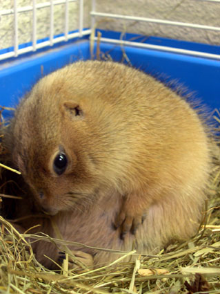 Untitled Document [www.geocities.ws]