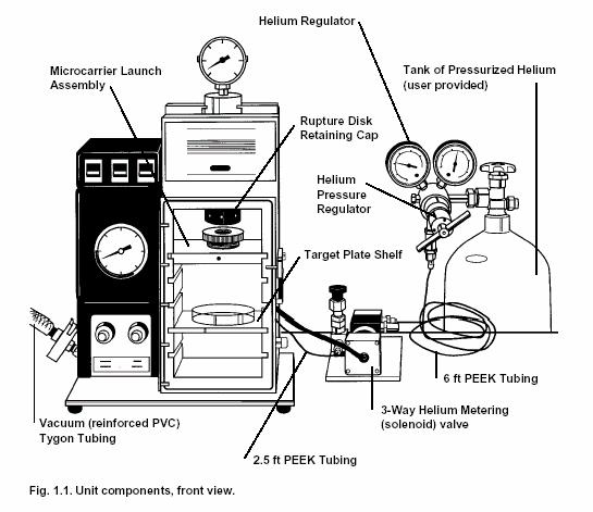 Protocols for biolistic gene transformation (Bombardment)
