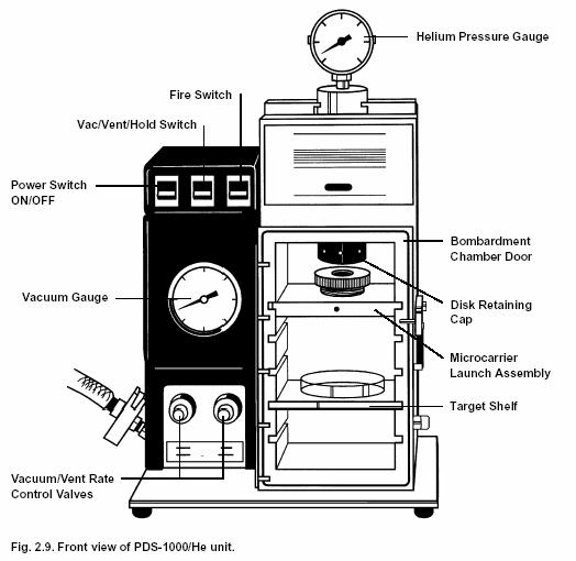 Protocols for biolistic gene transformation (Bombardment)