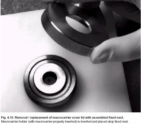 Protocols for biolistic gene transformation (Bombardment)