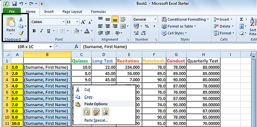 MS Office Excel 2010 Online Module: Lesson One