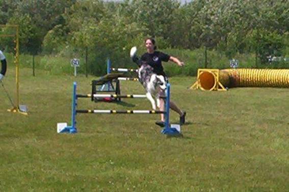 agility training