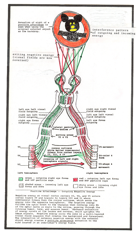 Positive and Negative Afterimages Instructions & Process