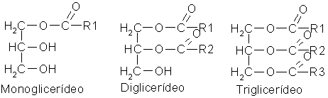 Monoglicerídeos; Monoacilgliceróis