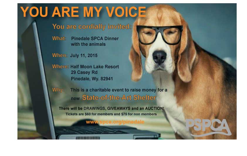 Farrahs Design Studio