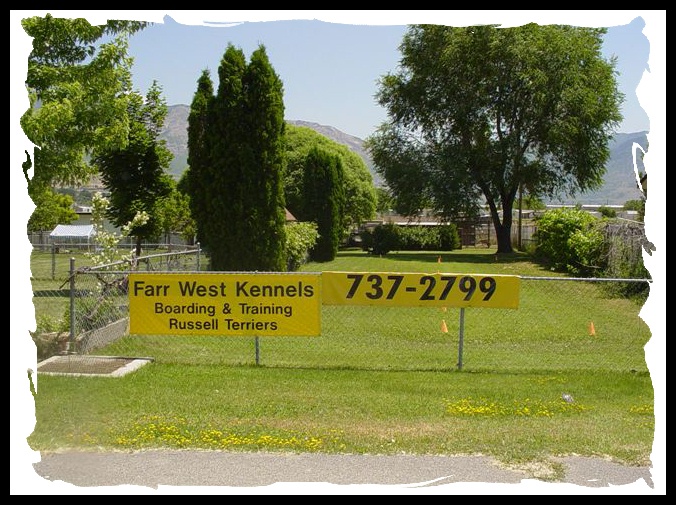 index [www.geocities.ws]