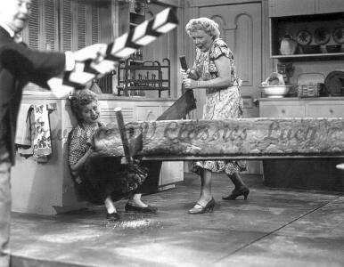 I Love Lucy, Ricky, Ethel, Fred & Little Ricky Too! / Series Information