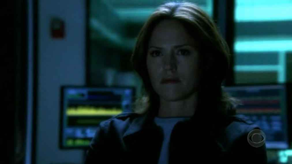 Biografía de Sara Sidle