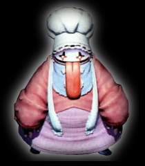 Final Fantasy IX Source - Character Profiles - Quina