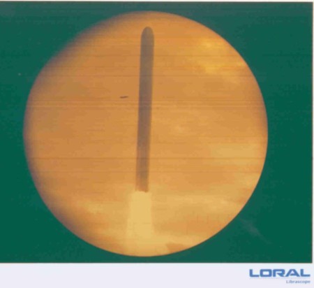 Submarines: The Silent Service - Weapon Systems