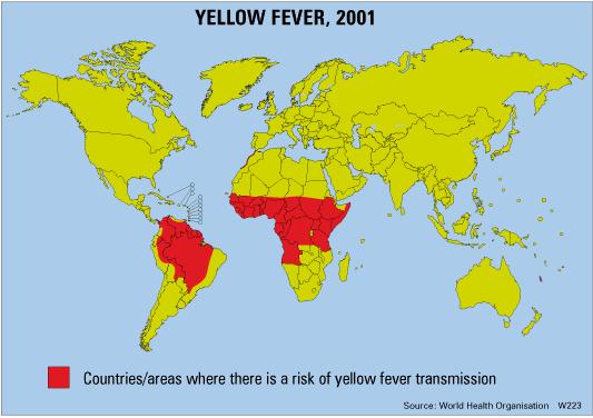 Yellow Fever