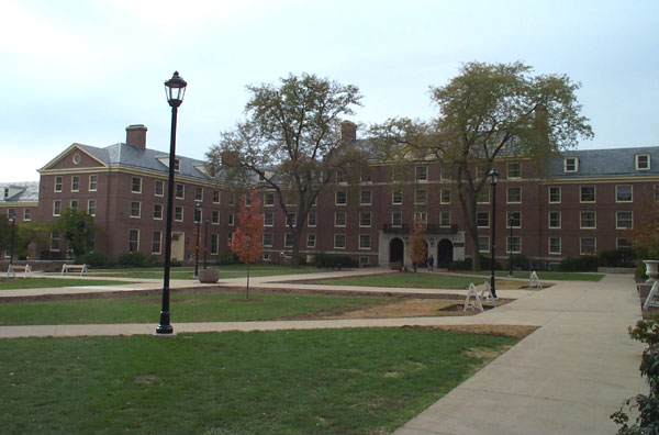 5 Hamilton Happenings