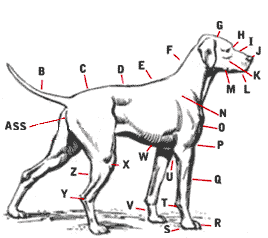 Welcome to INVITE.4T.COM!!!