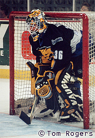 Nick Vitucci Picture Page