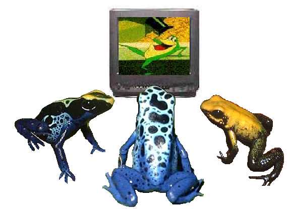 frogtv