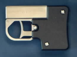 Downsizer Corporation