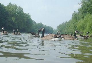 Friends of the Scioto River - Old Location