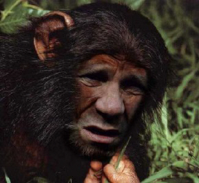 index [www.geocities.ws]