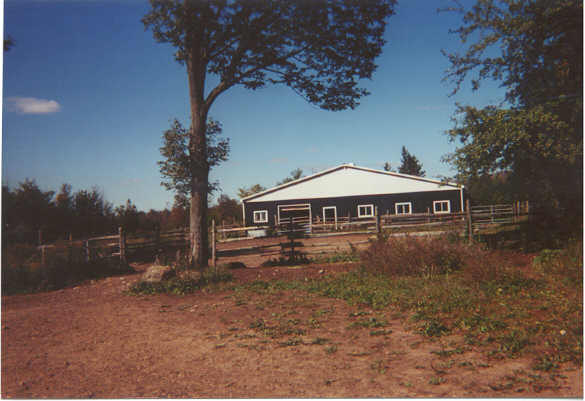 index [www.geocities.ws]