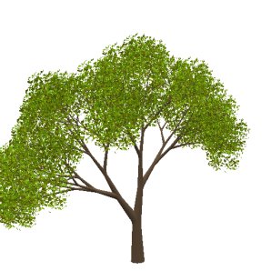 Gabor Szijarto - 2.5D Impostor Tree