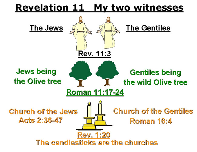 Two Witnesses - Bible Chart