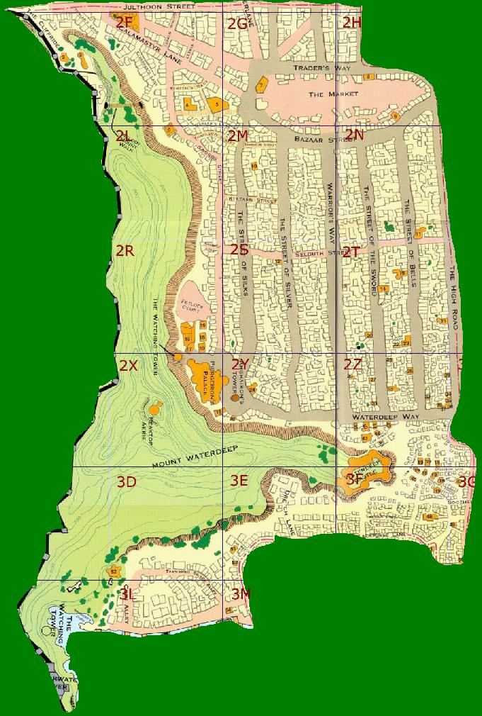 Waterdeep - City Castle Wards