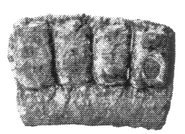 Qumran Tefillins