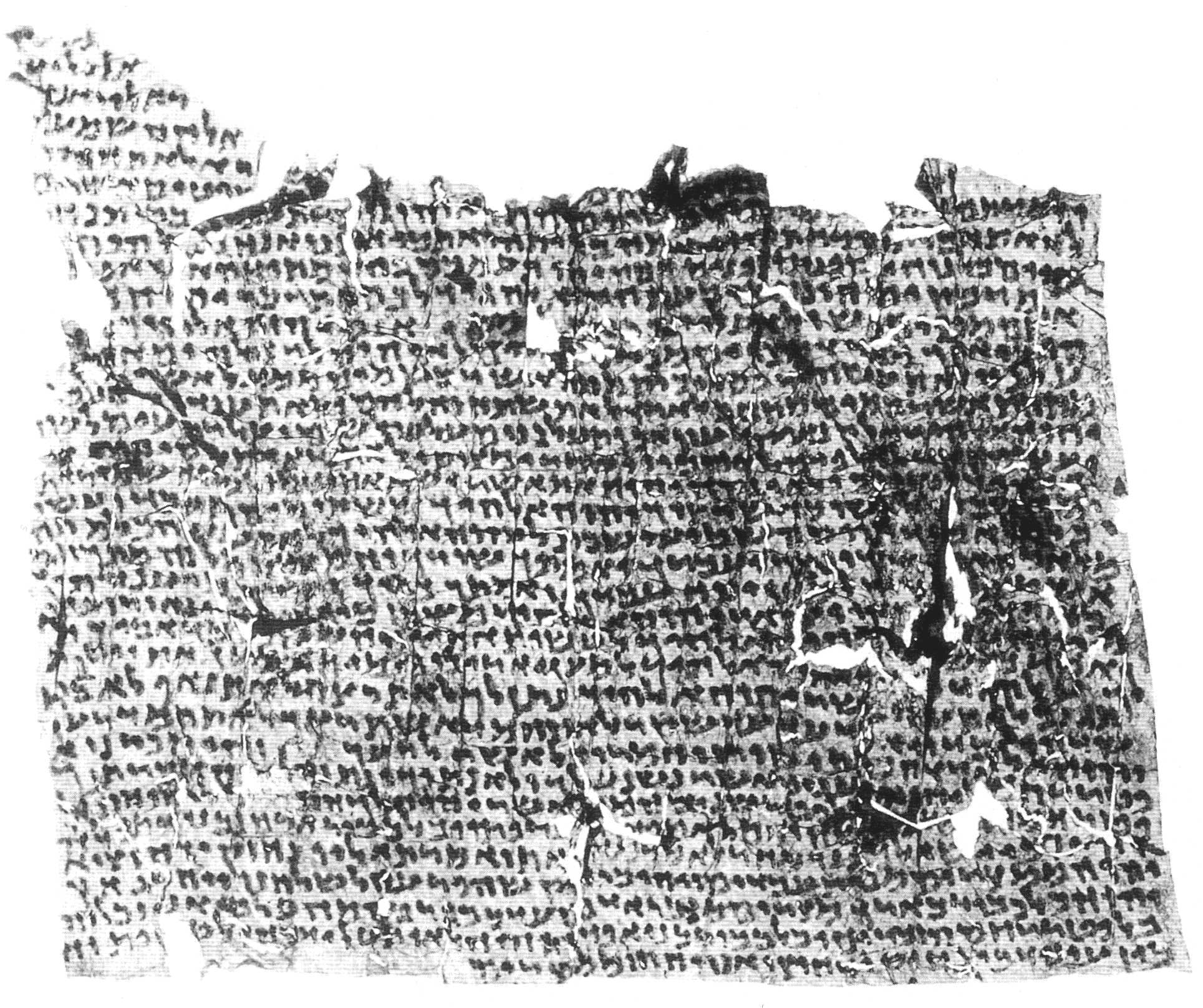 Qumran Tefillins