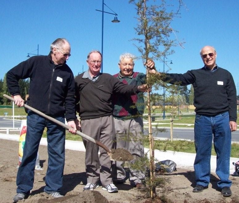 Murfitt Family Reunion Tree