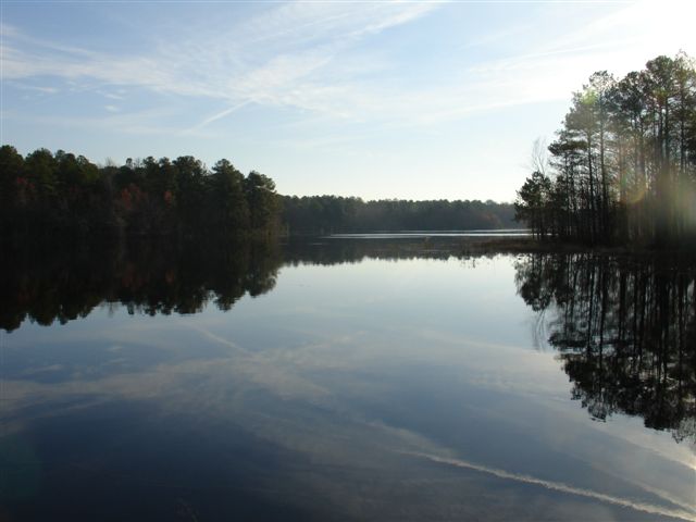 index [www.geocities.ws]