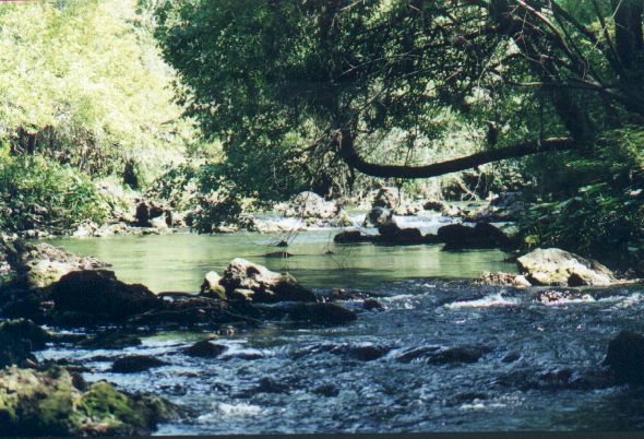 Hillsborough River State Park