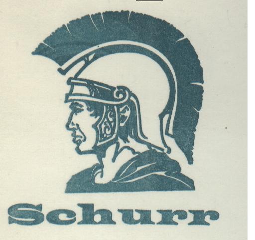 Schurr Classes of '73 & '74 30-Year Reunion