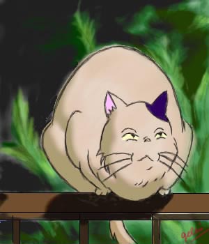 Studio Ghibli Animation Charactors