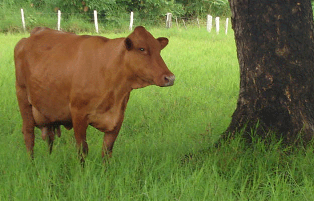 index [www.geocities.ws]